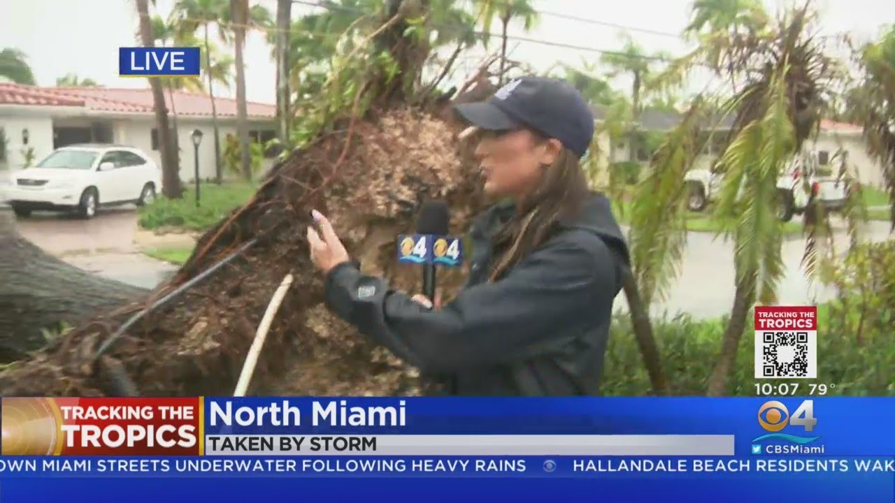 A tree falls in North Miami - YouTube