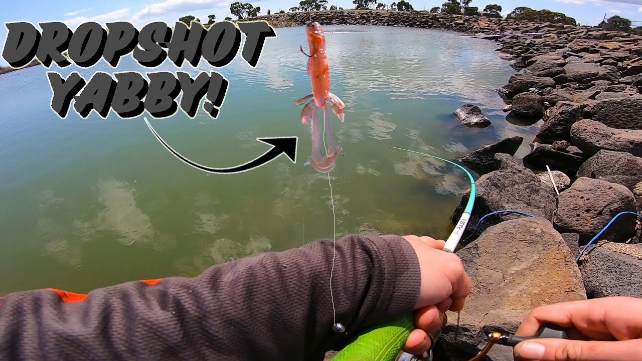 Redfin Perch Fishing | Mastering the Drop Shot Rig in Australia - YouTube