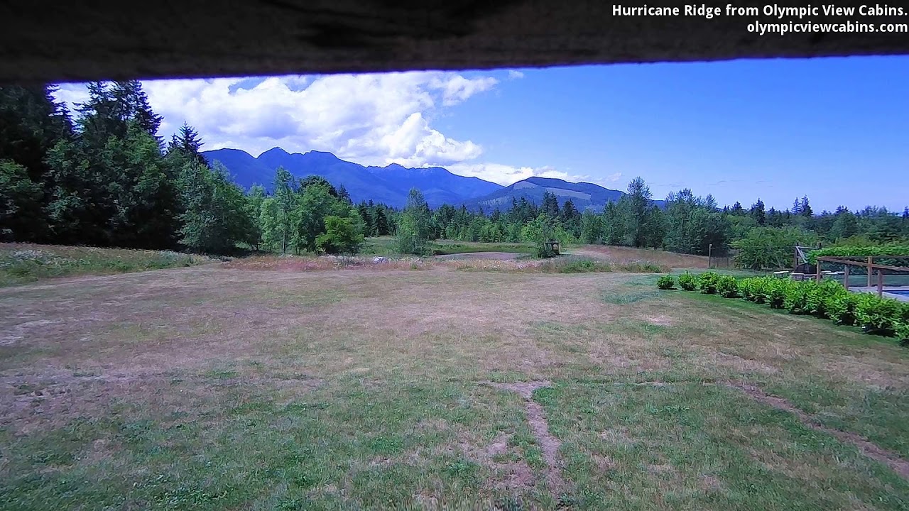 2019-07-01 Olympic View Cabins Hurricane Ridge Cam - YouTube
