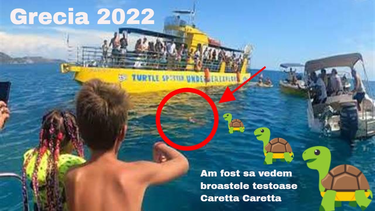 Am fost sa vedem broastele testoase Caretta Caretta - Grecia Zakynthos ...