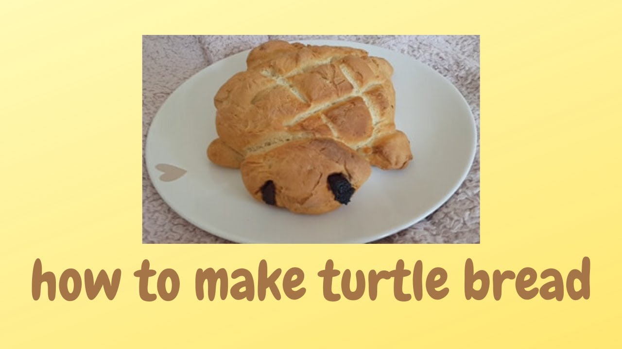 ♡how to make turtle bread♡!! - YouTube