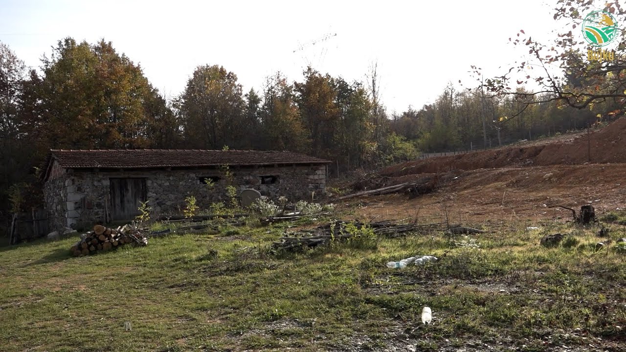 BUJKU Fshati me histori por i braktisur, dikur kishte 84 shtepi ...