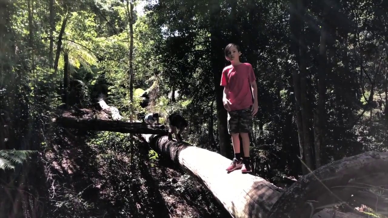 Scary Log Crossing - YouTube