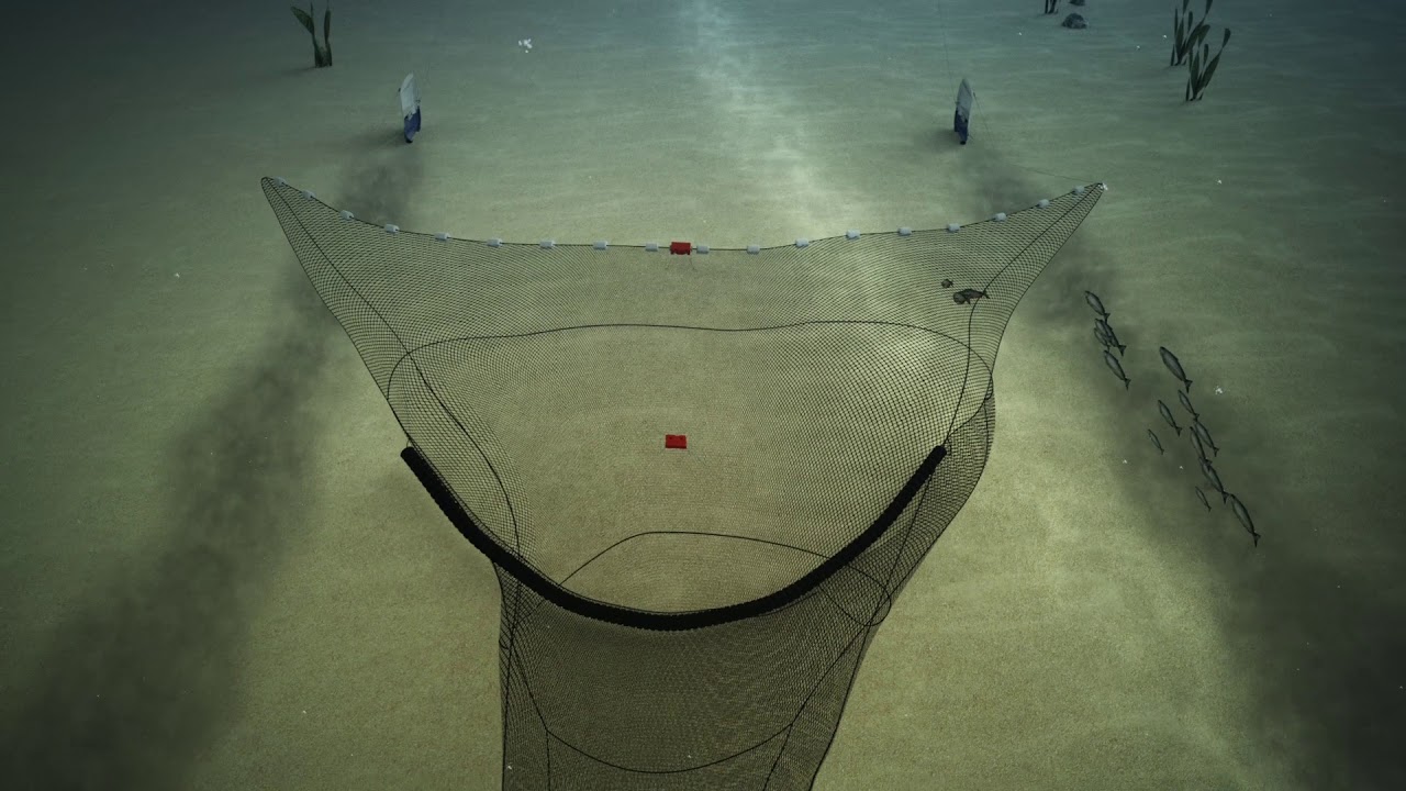 Trawl Fishing situation Part 1 - YouTube