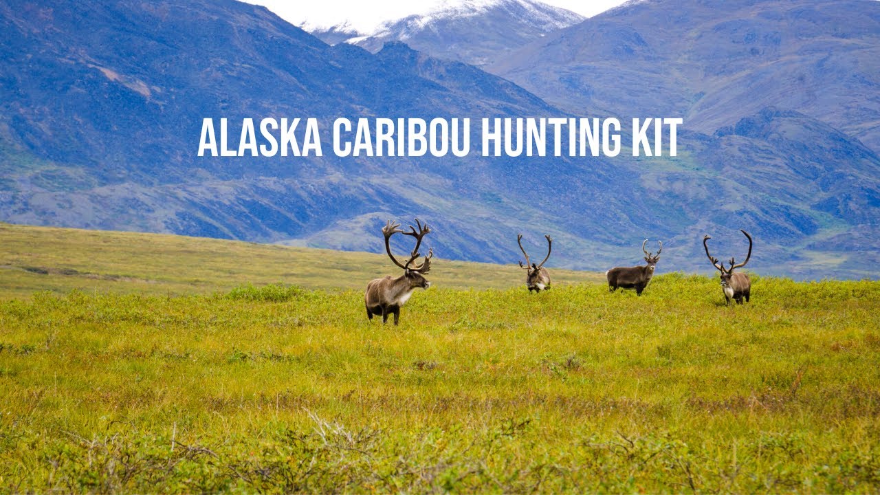 Alaskan Caribou Hunt Pack Dump - YouTube
