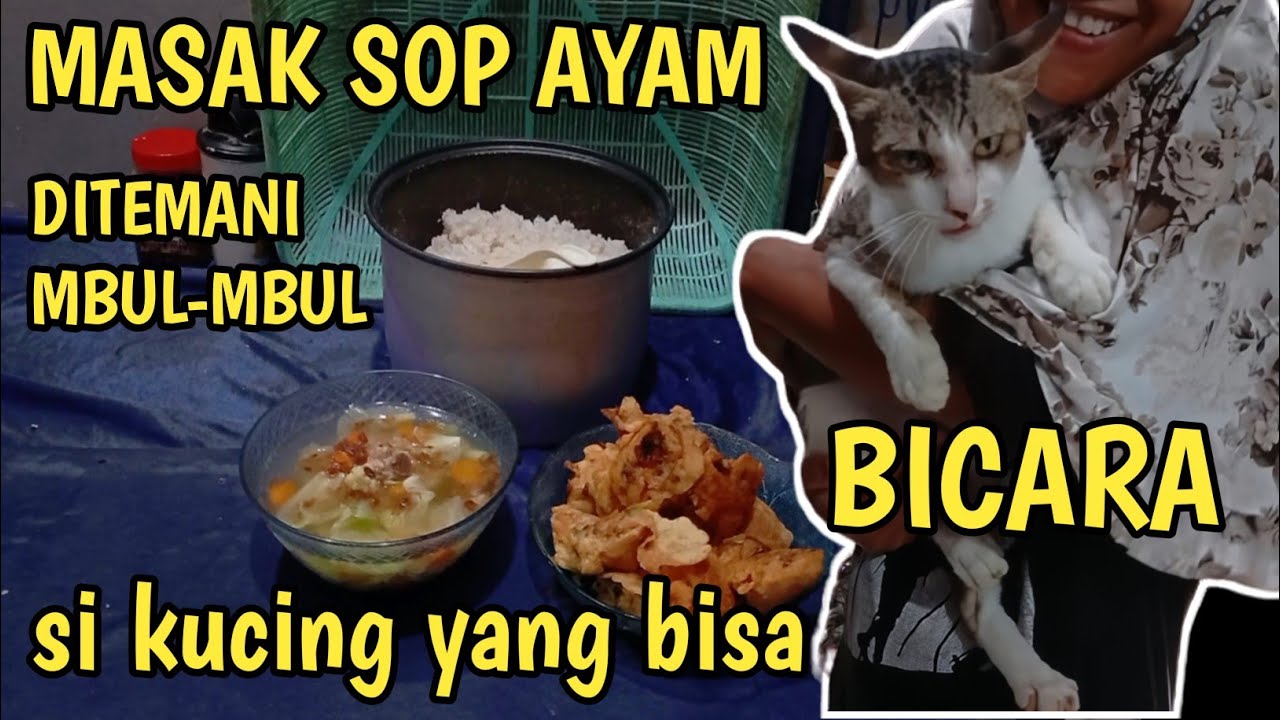 MASAK SAYUR SOP BUAT SARAPAN, SAMBIL NGOBROL SAMA MBUL-MBUL... - YouTube