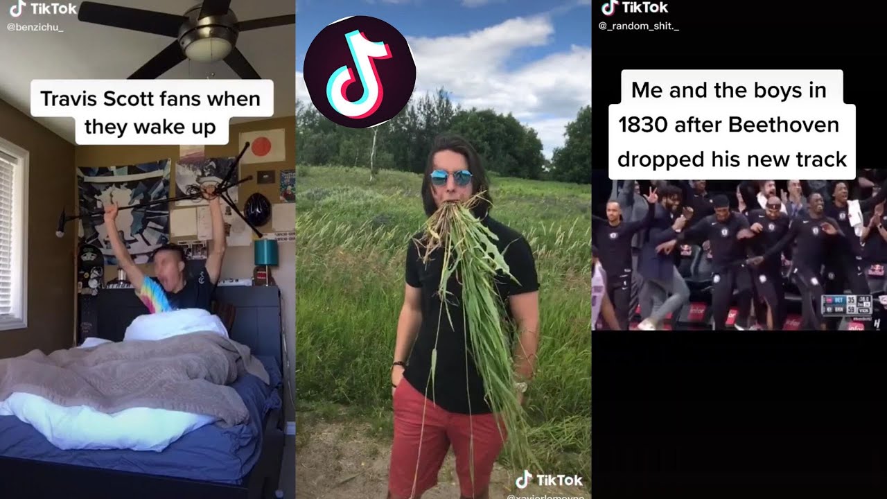 TikTok memes 2020 | Best Compilation of memes on TikTok - YouTube