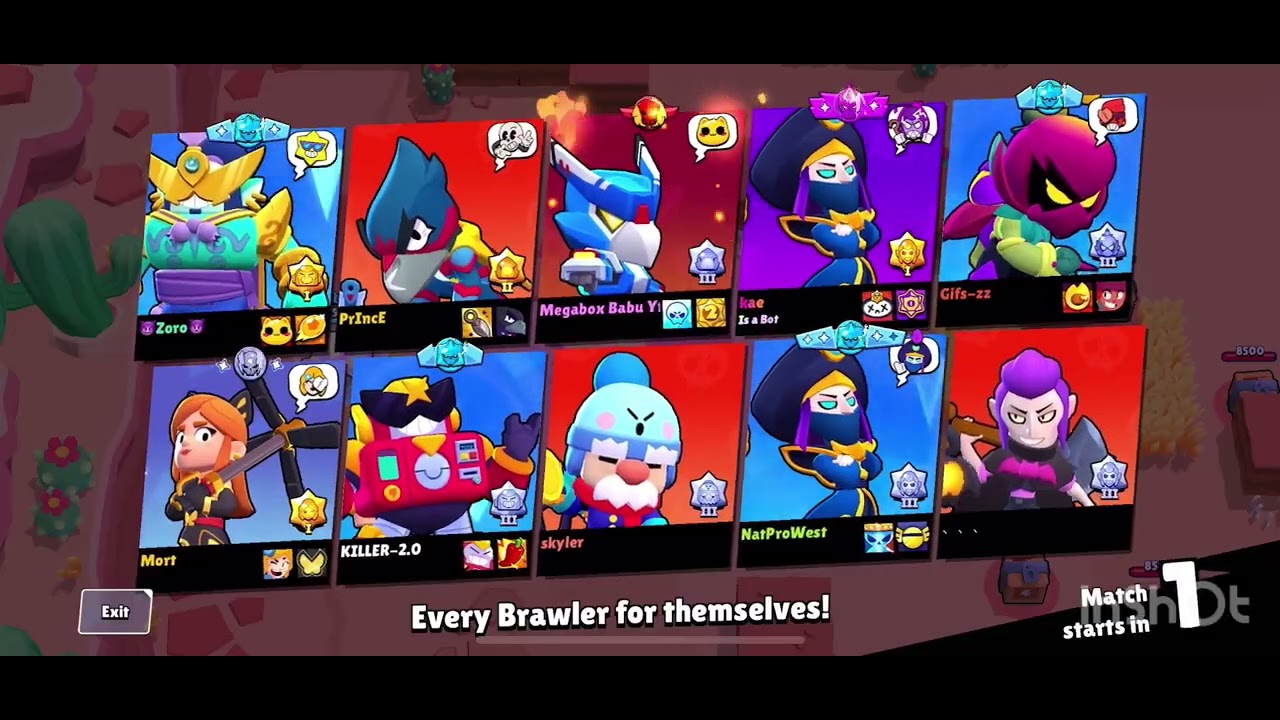 Some Showdown Gameplay 😹 - YouTube