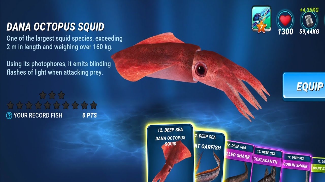 New Legendary Fish: Dana Octopus Squid - Fishing Clash Gameplay Ep211 ...