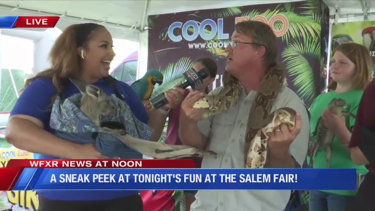 Sneak peek at 35th Annual Salem Fair attractions Part 2 - YouTube