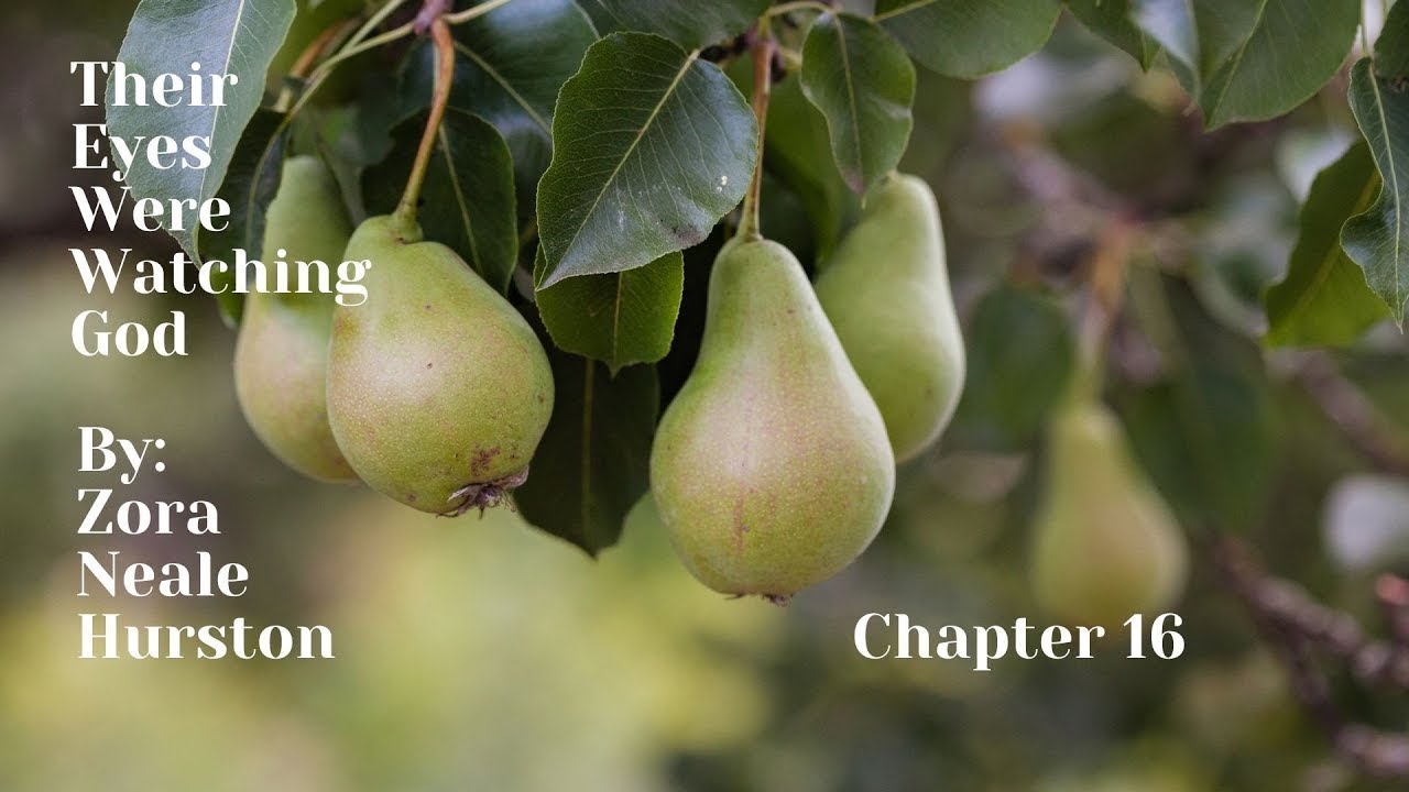 Their Eyes Were Watching God - Zora Neale Hurston - Chapter 16 - YouTube