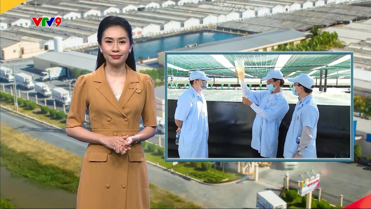 NTTV Kỳ 02 - GIẢI PHÁP BỀN VỮNG, HIỆU QUẢ HƠN VỚI CÔNG NGHỆ BIOFLOC ...