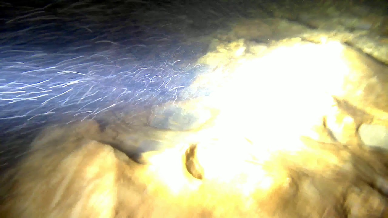 Madison Blue Spring cave dive 6/28/2020 - YouTube