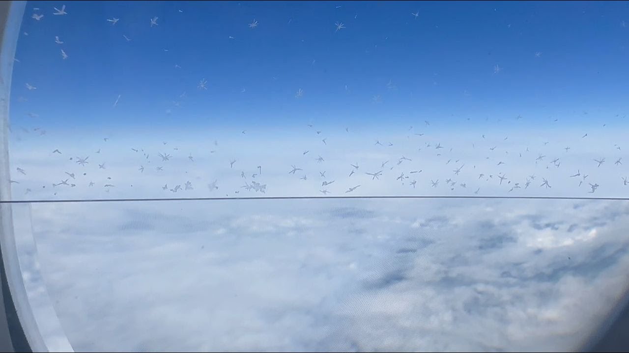 BA FLIGHT 252: Cabin Ambience - Relax on a real BA Flight LAX to LHR ...