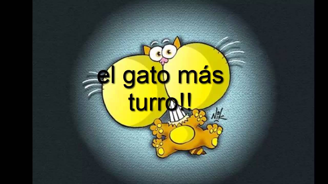 GATURRO EL GATO MÁS TURRO. [VÍDEO RANDOM] - YouTube