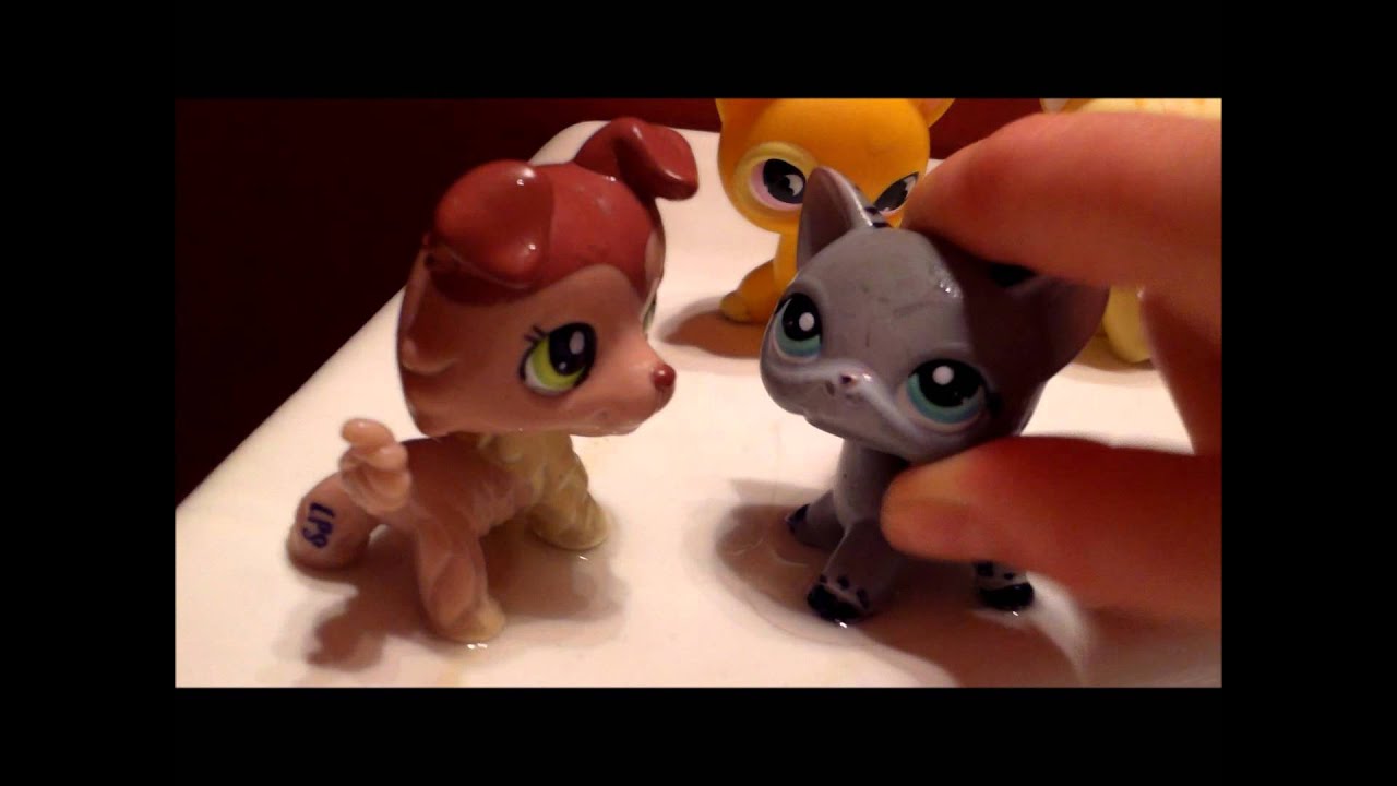 LPS Summer Camp Part 3 - YouTube