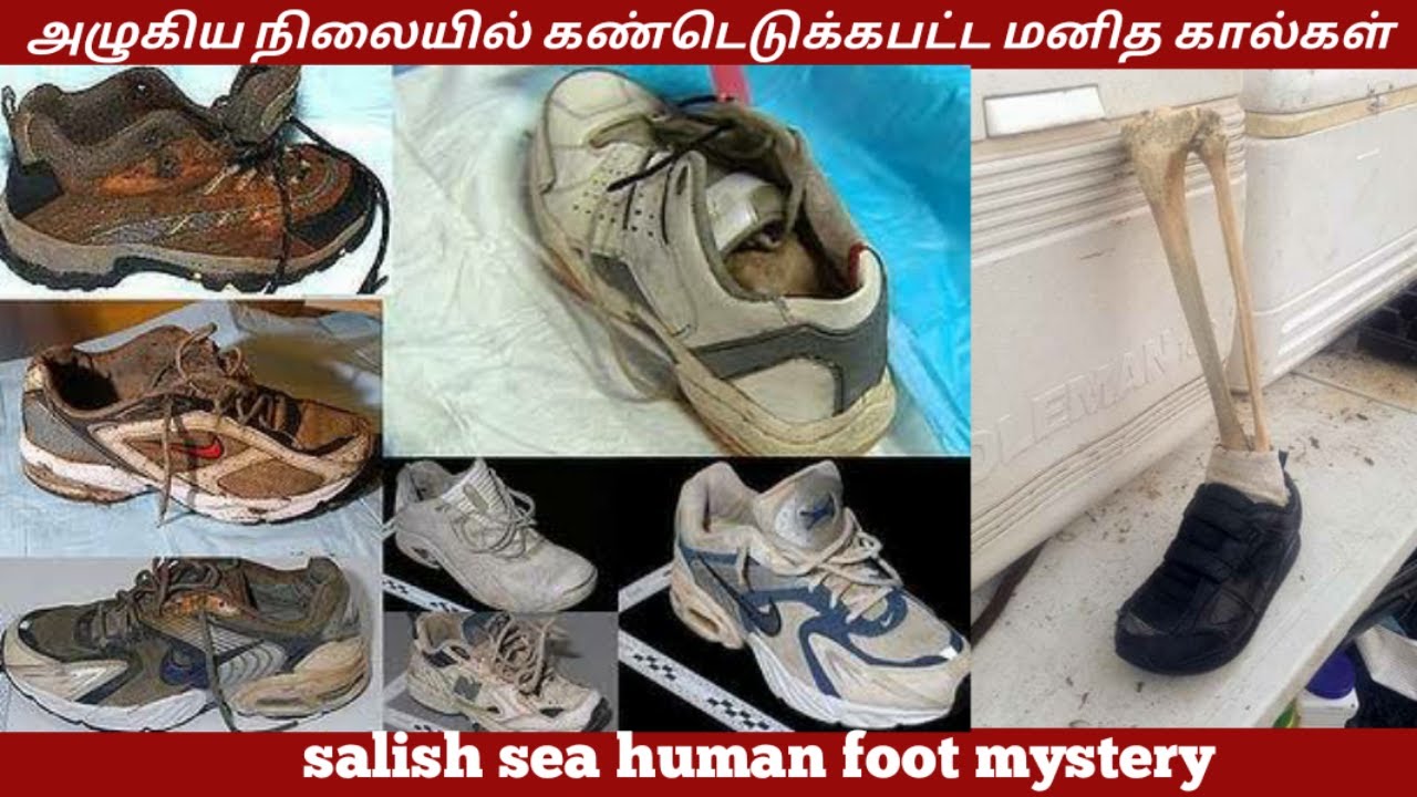 SALISH SEA HUMAN FOOT DISCOVERIES | SERVERED FEET MYSTERY | FLOATING ...