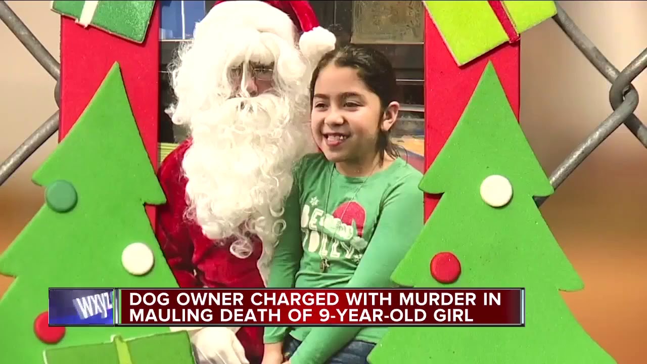 Dog owner charged with murder in mauling death of 9-year-old Detroit ...
