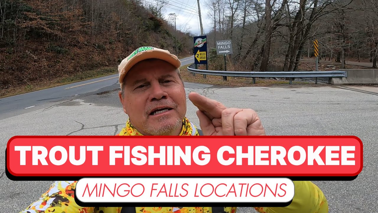 Trout Fishing Cherokee Mingo Falls (Locations) - YouTube