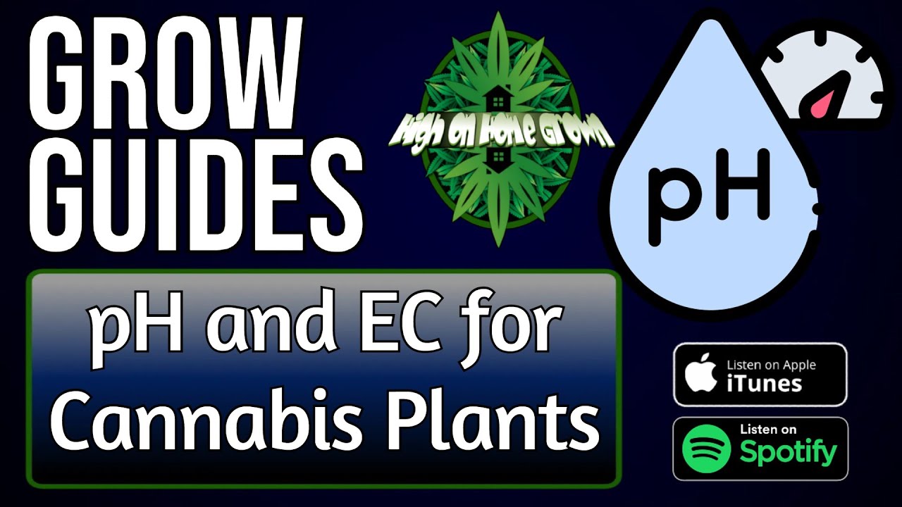 pH and Ec for Cannabis Plants | Grow Guides Episode 18 - YouTube