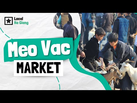 Meo Vac Market in Ha Giang - Exploring the Vibrant Ethnic Minority Market