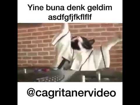 DJ KEDİ (DJ İSTANBUL)