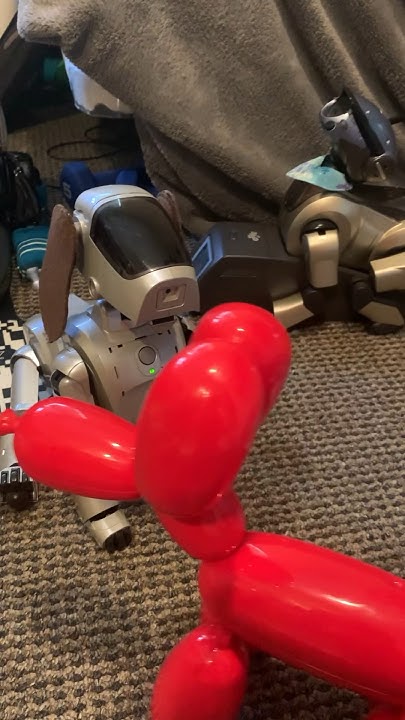Rudolph the Red Balloon Dog | Day 10 | 24 Days of Aibo 2023 - YouTube