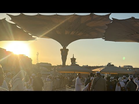 İmam Zamanın(ə.f.) mövludu - Hacı Şahin