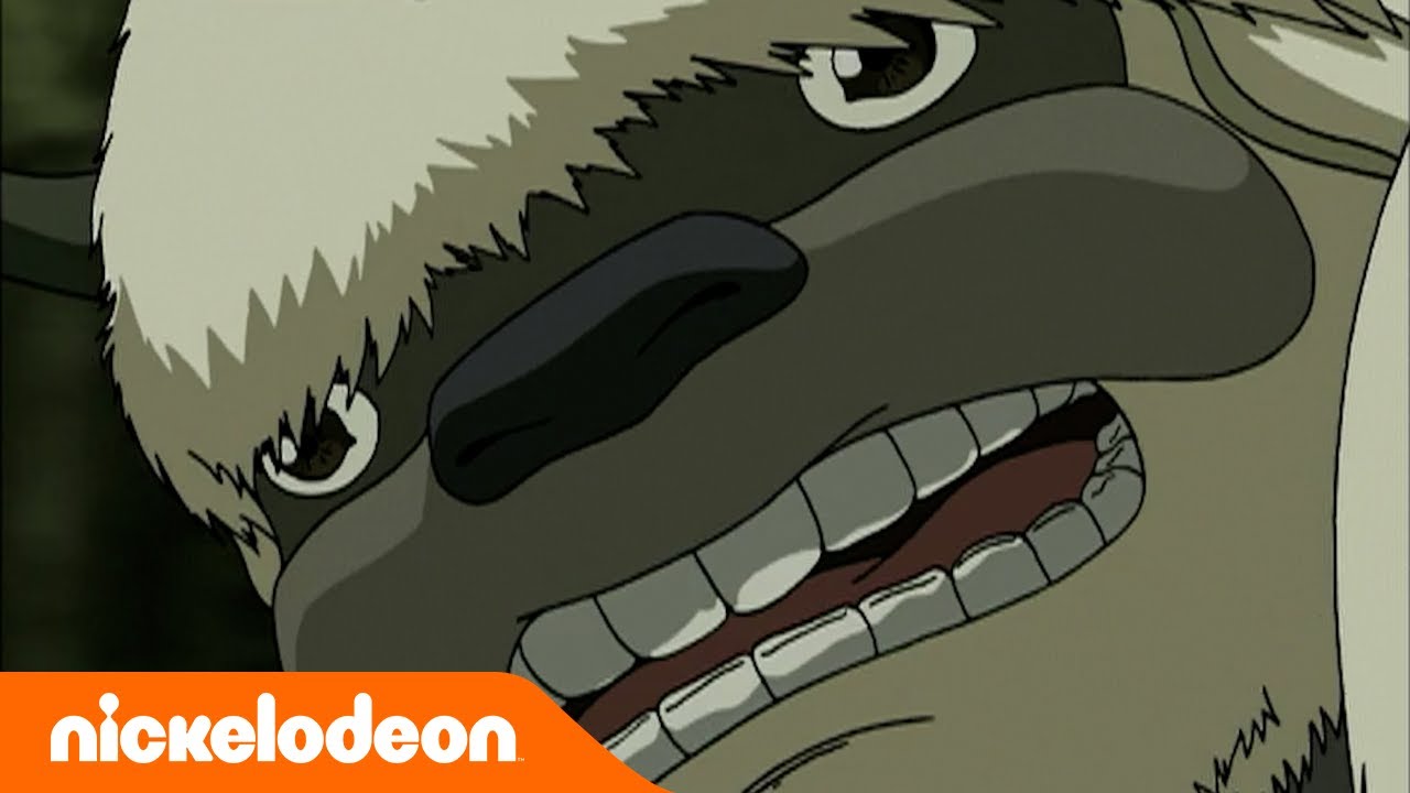 Avatar: The Last Airbender | Appa si Bison Terbang Bagian Dua ...