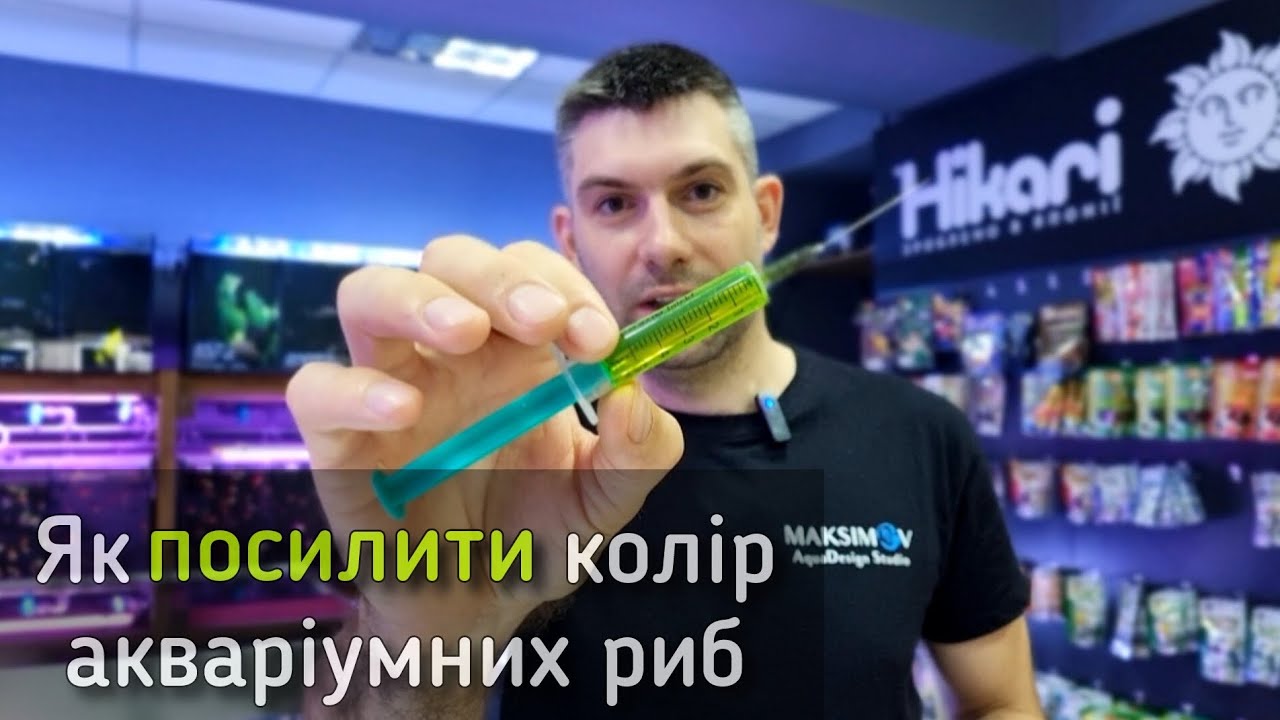 Посилення кольору акваріумних рибок - "чорні" та "білі" методи - YouTube