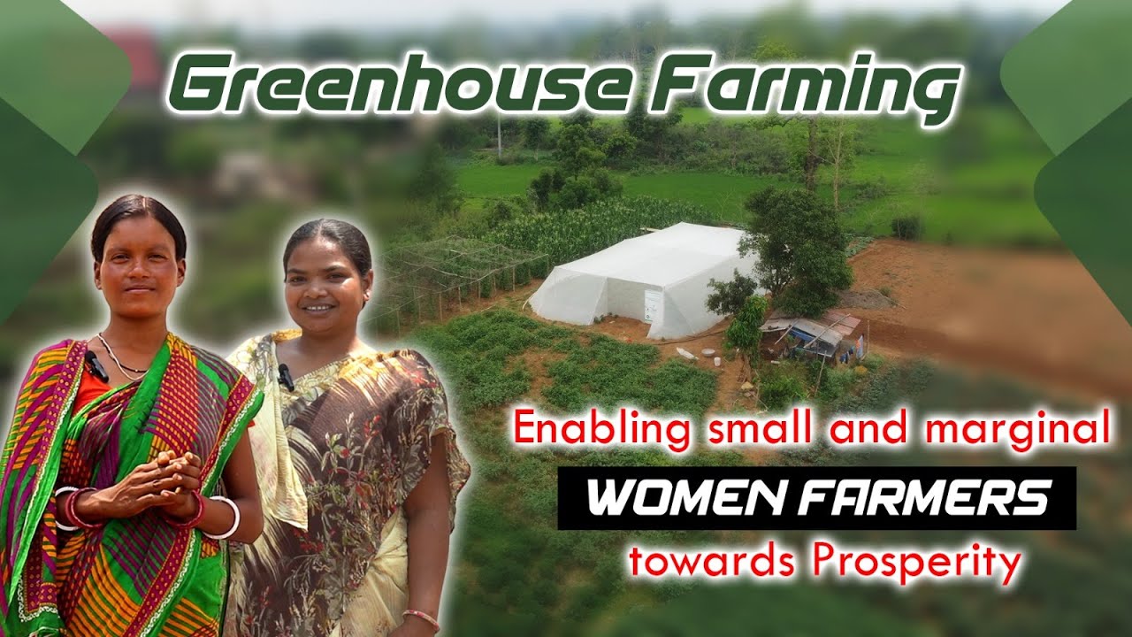 Greenhouse Farming: Enabling small and marginal women farmers towards ...