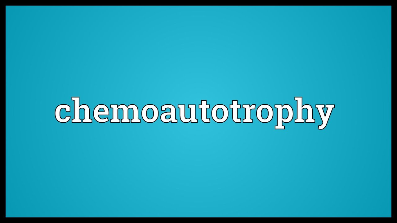 Chemoautotrophy Meaning - YouTube