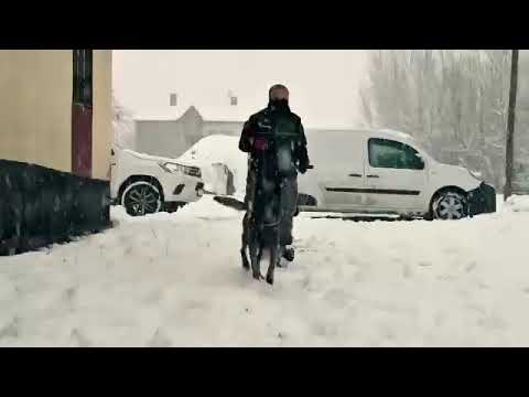 Hakkari'de “Torbacı” Operasyonu: Çok Sayıda Adrese Eş Zamanlı Baskın