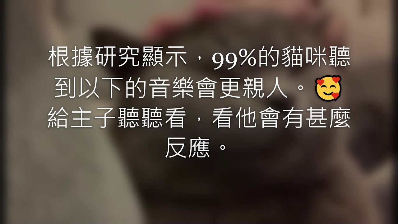 貓叫聲 呼嚕聲 Music For Cats 貓咪放鬆音樂 Katey Moss Catwalk - David Teie - YouTube