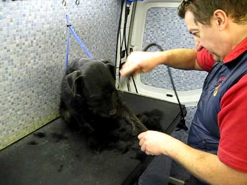 Zeb's haircut - YouTube