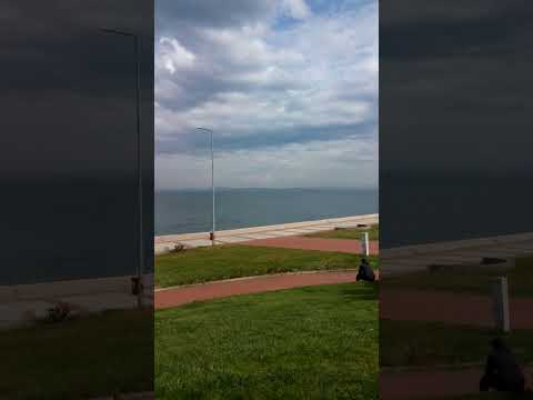 🌹Gözlerim yoldadır kulağım seste Ben seni unutmam, en son nefeste Ey ceylan bakışlım, ey boyu beste