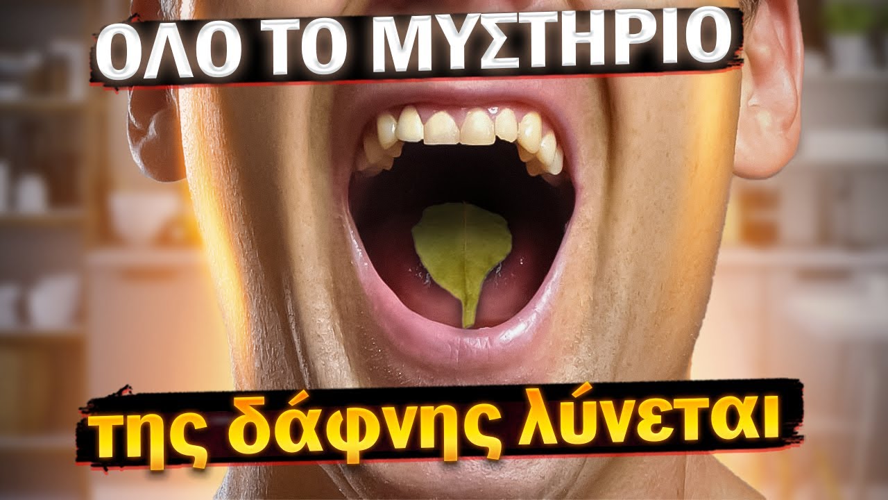 Μασάω φύλλα δάφνης για 2-3 λεπτά εδώ και μια εβδομάδα! Κοιτάξτε τι ...