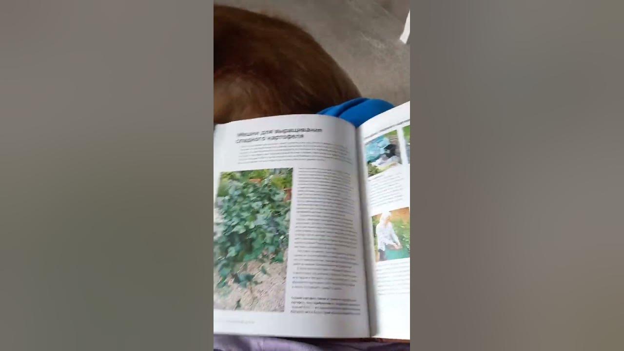 Любимая книга по выращиванию растений в контейнерах - YouTube