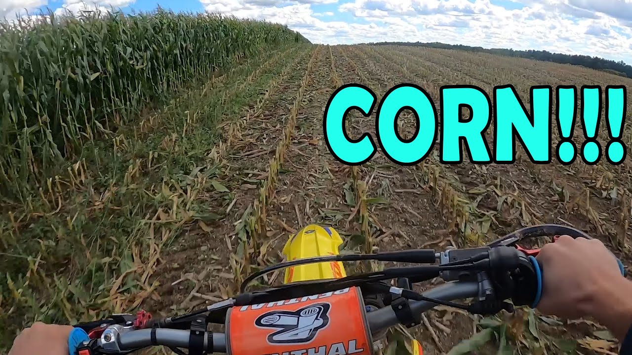 DRIVING DIRT BIKE THOUGH CORN FIELD - YouTube