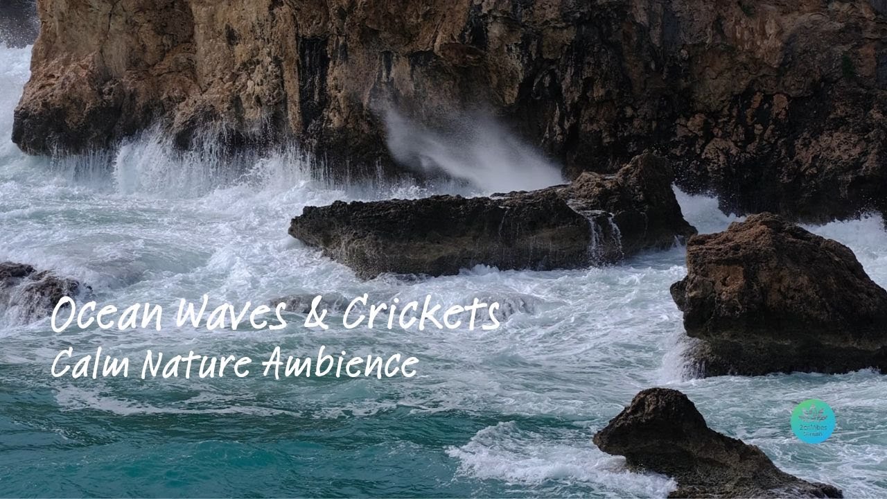 Ocean Waves & Crickets • Calm Nature Ambience with Ambient Music ...