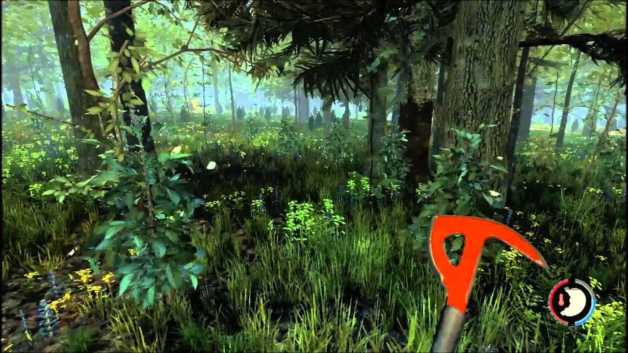 The Forest - Gameplay and First look by Larcy117 - YouTube