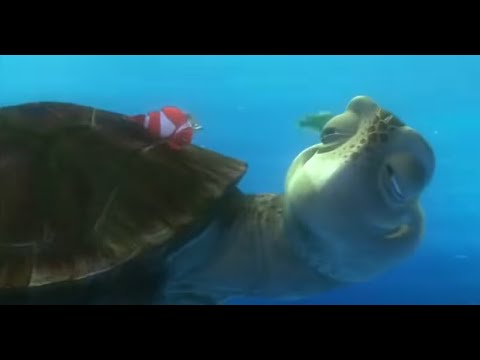 Finding Nemo- Turtle Scene - YouTube