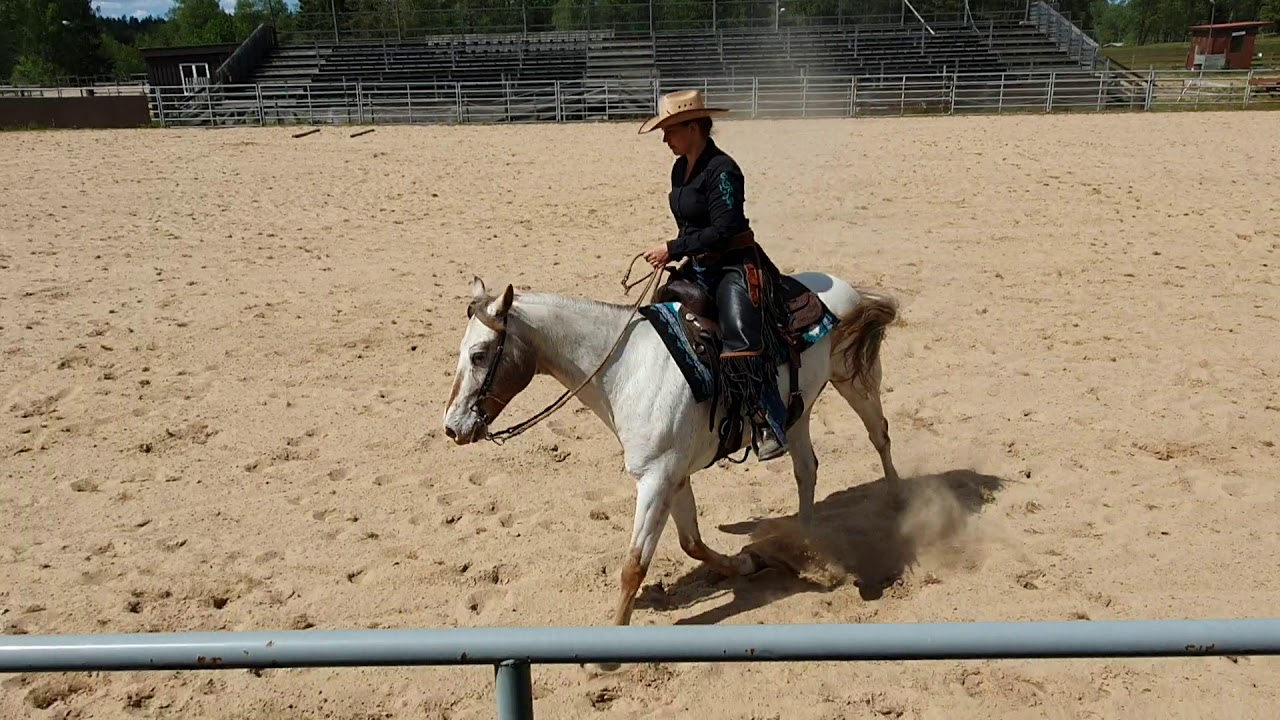 Ranch Riding Open. Ranch horse classic. - YouTube