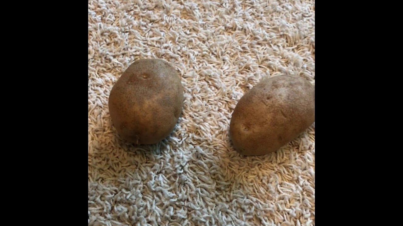 Two Potatos - YouTube