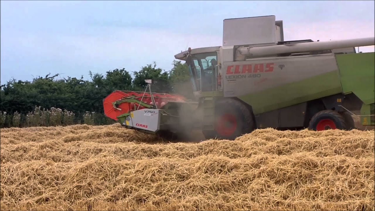Combining barley - YouTube