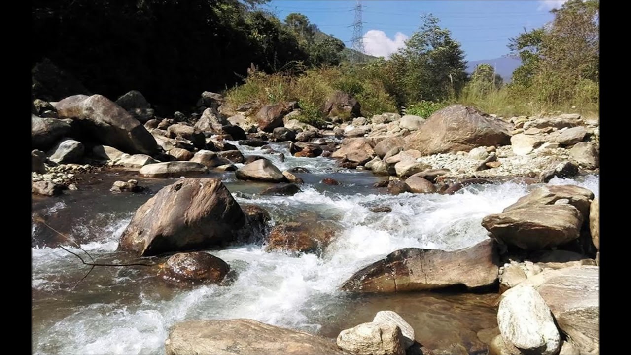 Tea Village Home Stay , Tabakoshi Near Mirik, West Bengal (Diganta ...