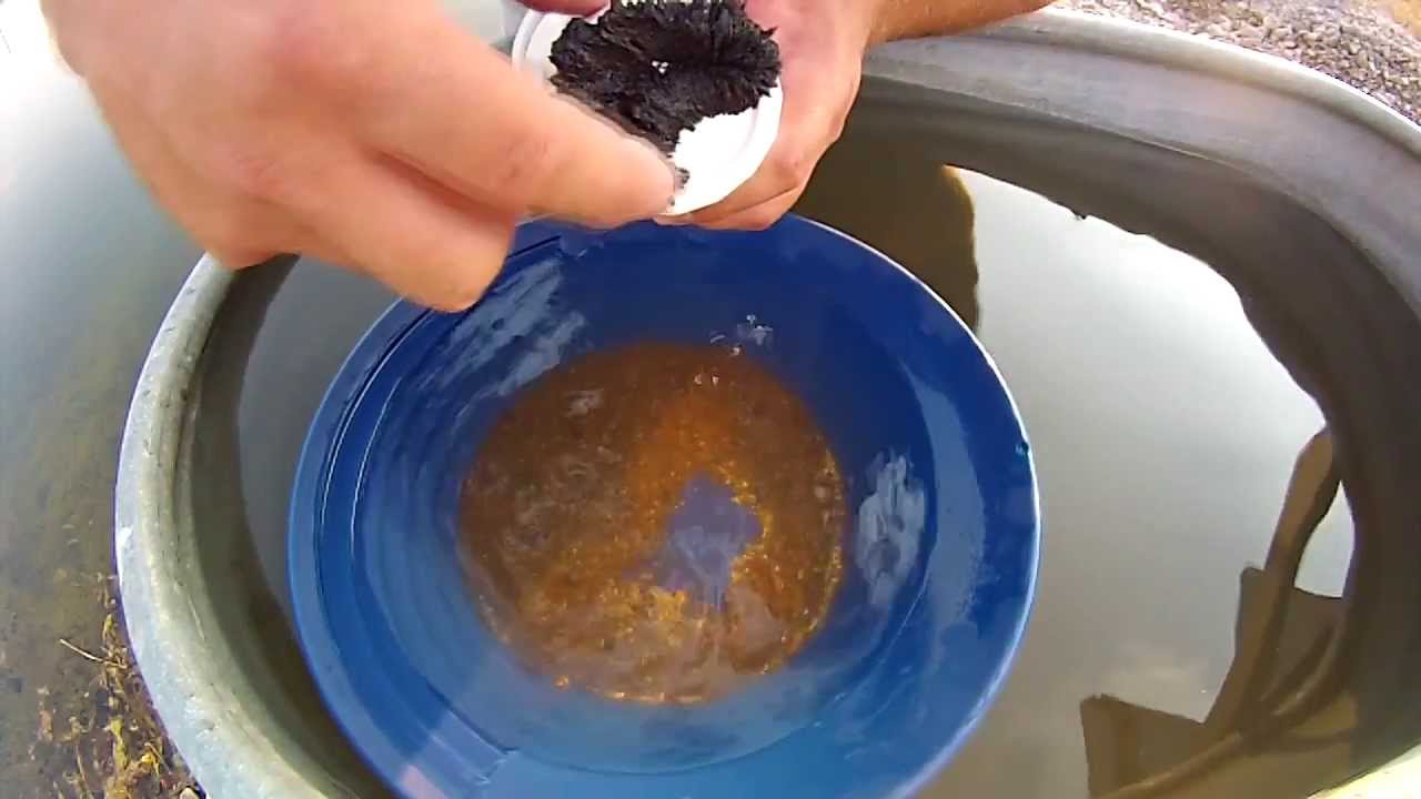 Panning Black Sand From Gold Concentrates - YouTube