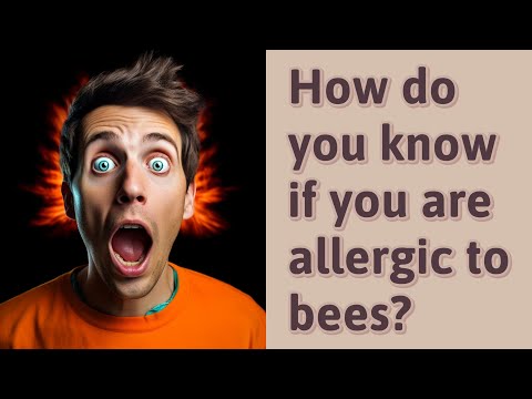 How Do You Know If Your Alergic To Bees