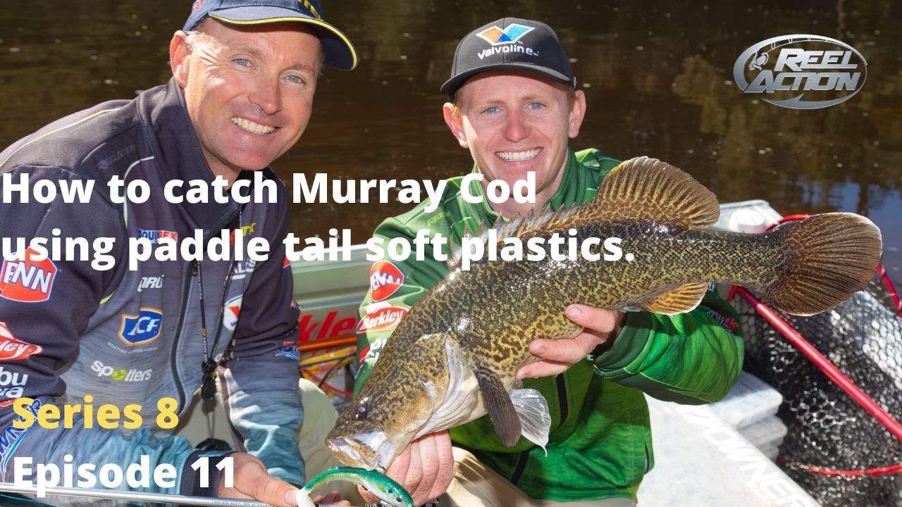 How to catch Murray Cod using paddle tail soft plastics. - YouTube