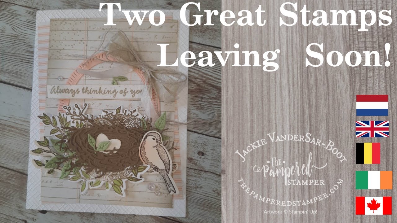 Stories and Stamps Nested Friends - YouTube